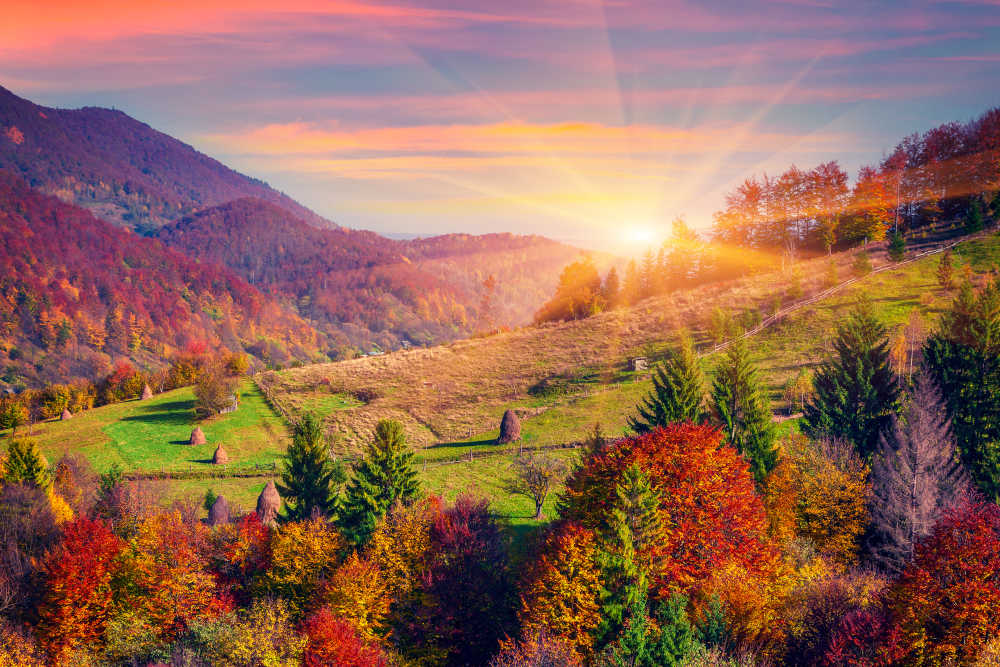 Top flight deals for autumn holidays | BudgetAir Australia