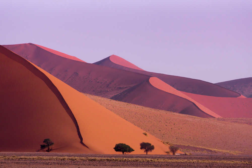 Discover Adventure In Namibia | CheapTickets.sg