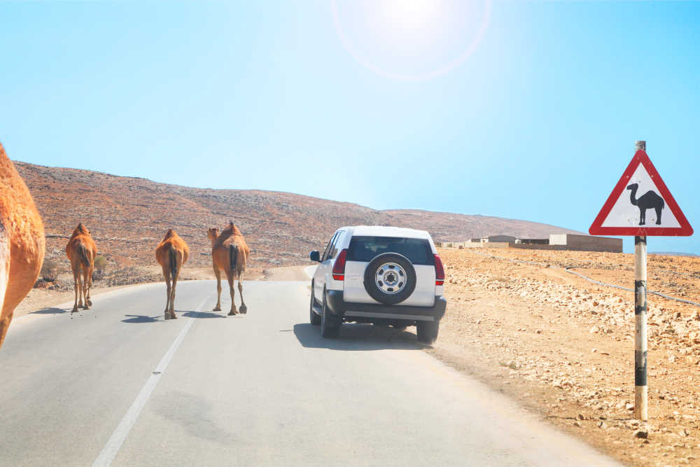 Een autoroute door Oman: de hoogtepunten | CheapTickets.nl Blog