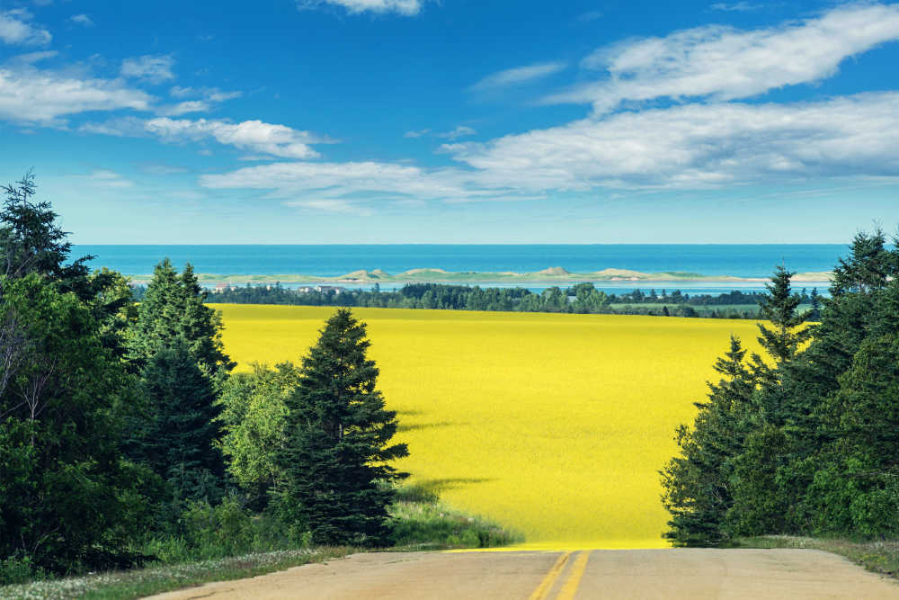 Beautiful Islands in North America | BudgetAir.com Blog