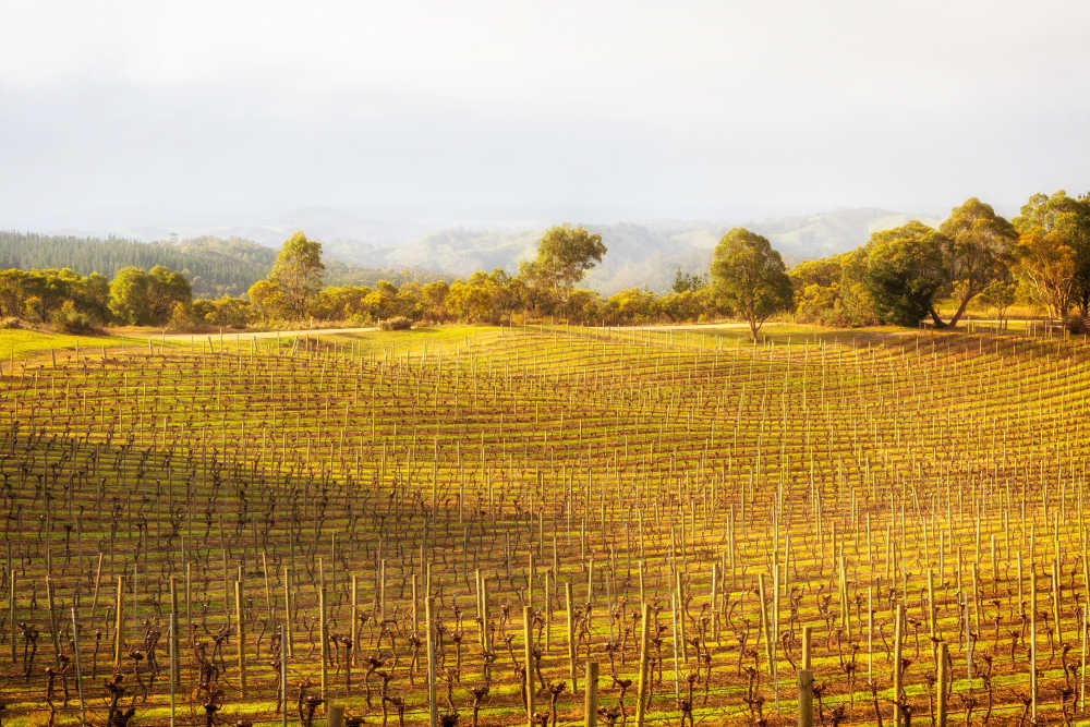 Live Large in South Australia’s Winter Wonderland | CheapTickets.sg™ Blog