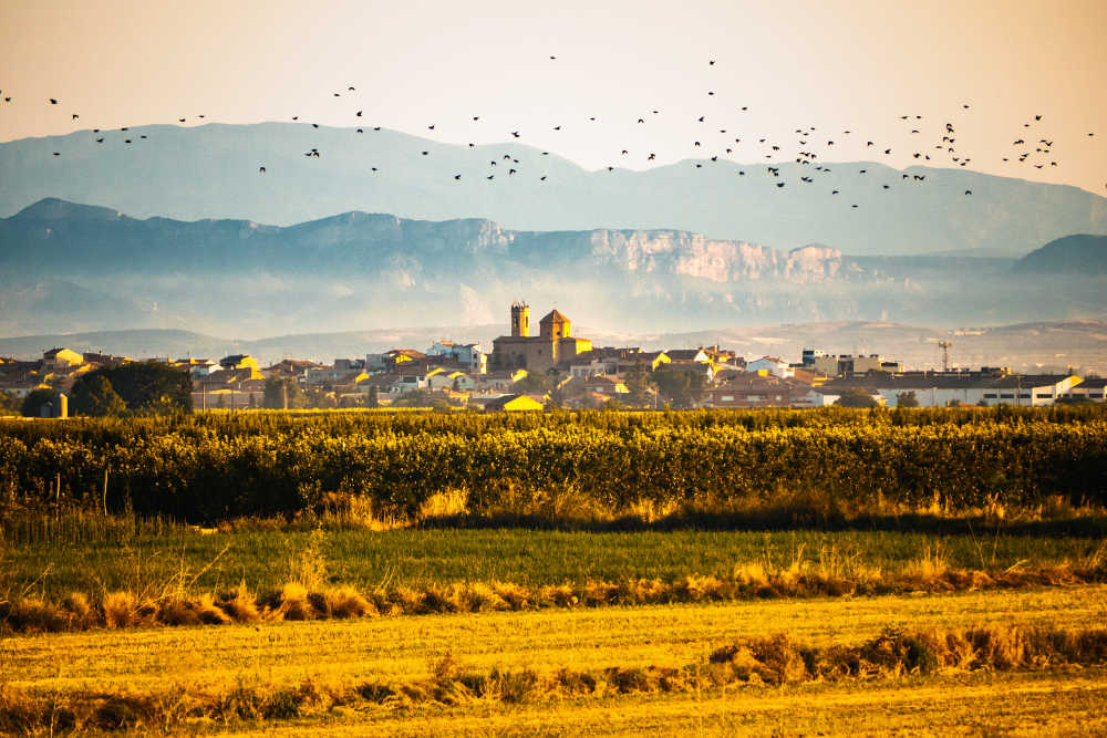 Vliegtickets Catalonië | CheapTickets.nl